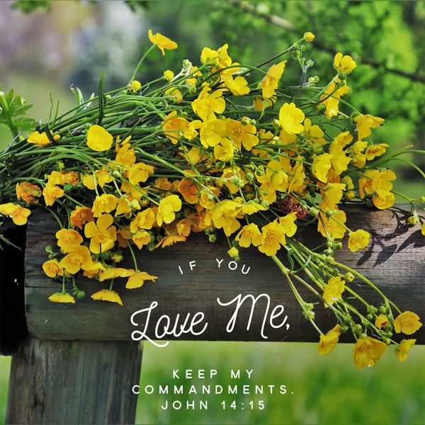 Inspirational Verse of the Day - Keep My Commandments - Bible Verses To Go