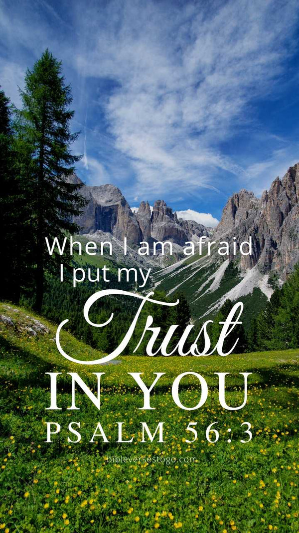 Psalm 56:3 Bible Verse Wallpaper - Bible Verses To Go