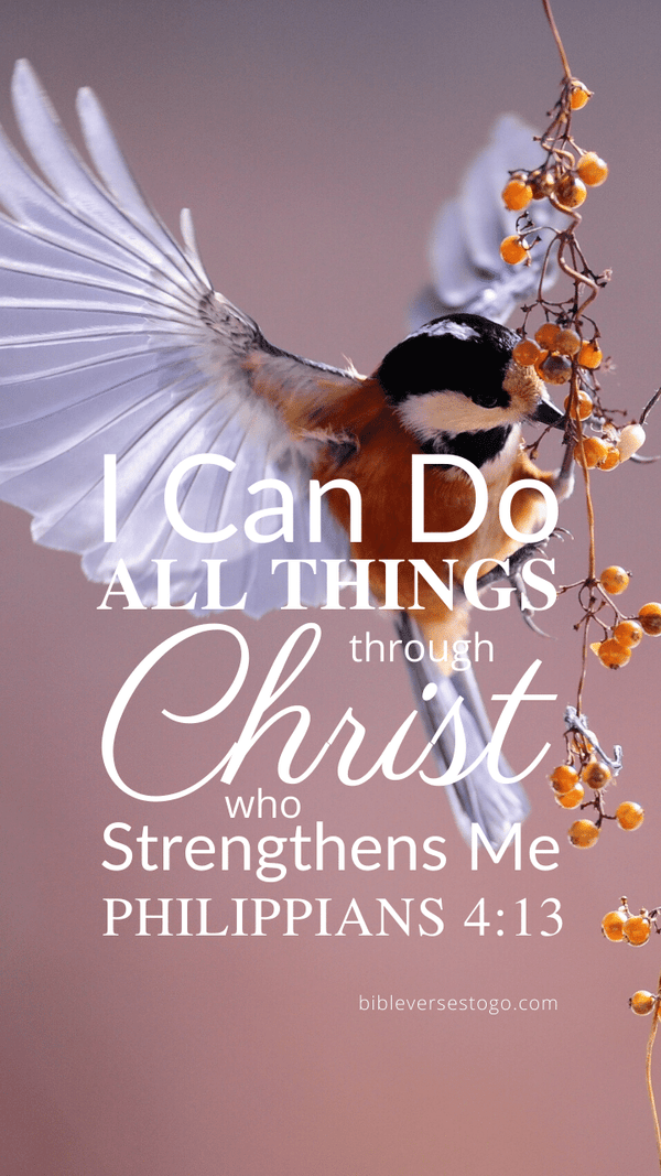Birdflight Bible Verse Wallpaper - Bible Verses To Go