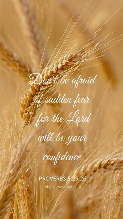 Don't Be Afraid Proverbs 3:25-26 Phone Wallpaper - FREE - Bible Verses ...