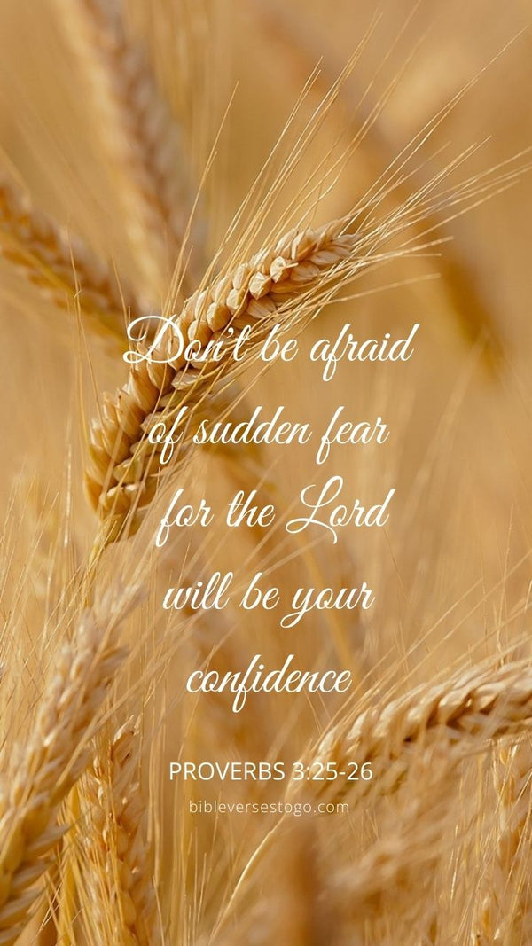 Don t Be Afraid Proverbs 3 25 26 Phone Wallpaper FREE Bible Verses Don t Be Afraid Proverbs 3 25 26 Phone Wallpaper FREE Bible Verses
