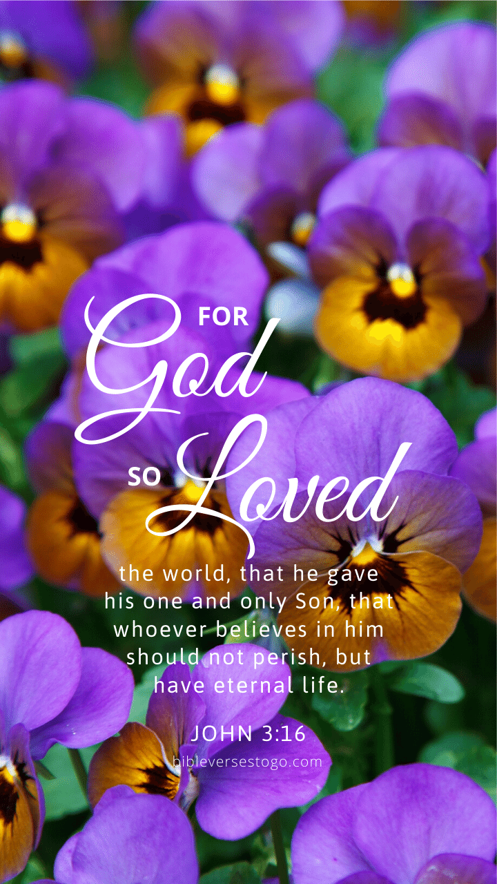 Purple Scripture Wallpaper - Over 500 FREE Downloads - Bible Verses To Go